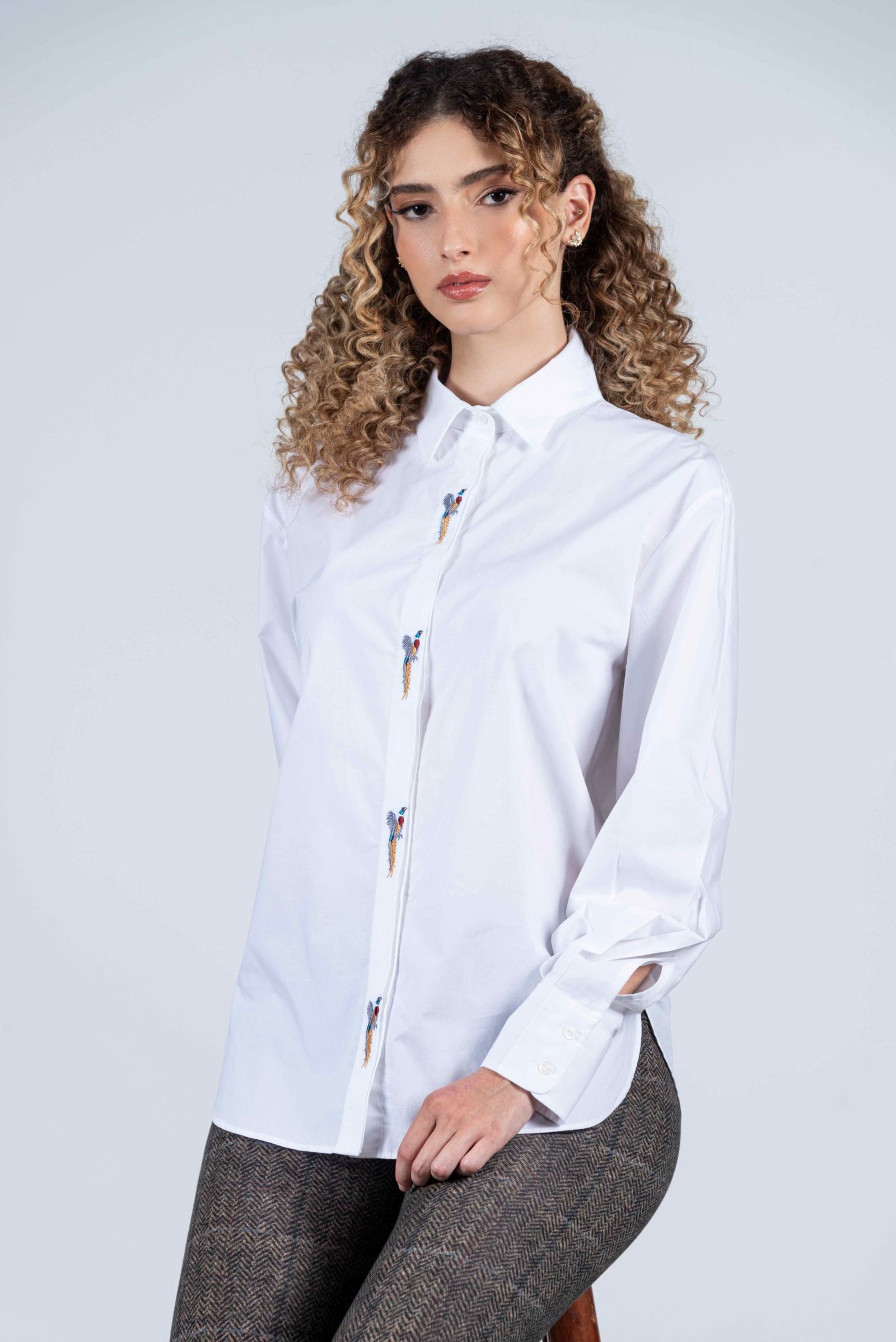 Shop Stylish Pheasant Shirts Online | Hartwell Clothing